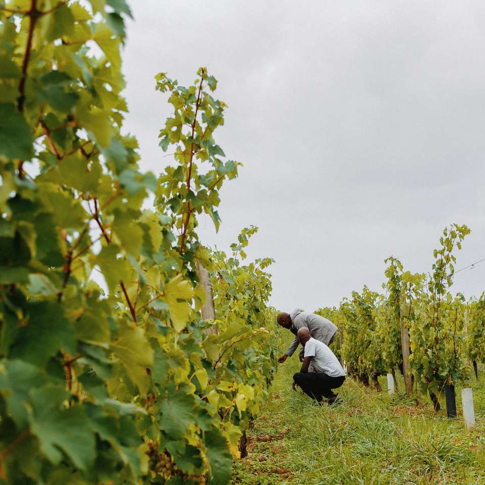 Photo by Arjun Mahanti — Shoeboxᵅ