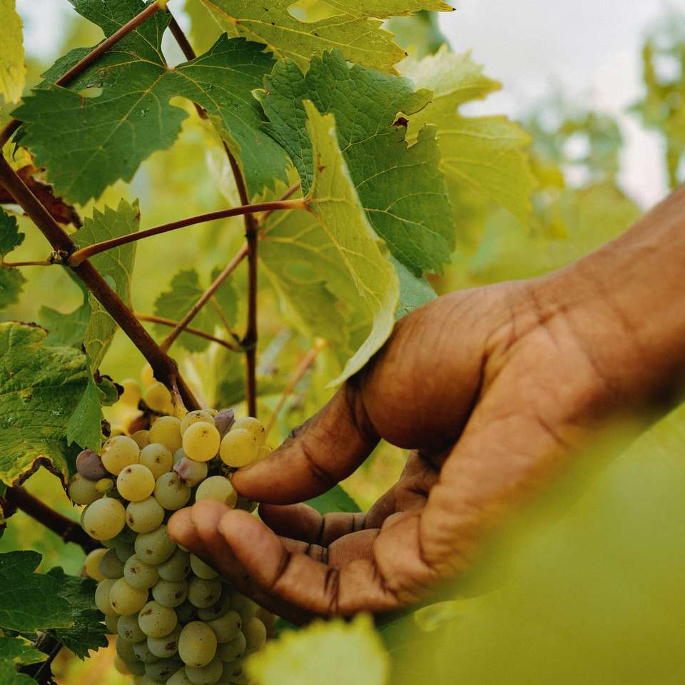 Photo by Arjun Mahanti — Shoeboxᵅ